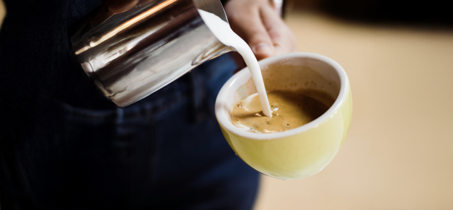 Different Milks for Different Folks: Finding the Right Fit for Your Day ...